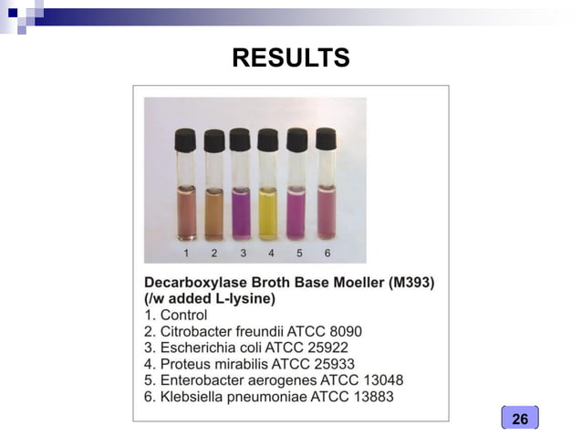 Medical Microbiology Laboratory (biochemical tests - ii) | PDF ...