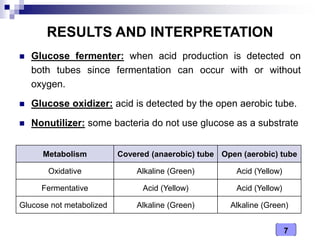 Medical Microbiology Laboratory (biochemical tests - ii) | PDF