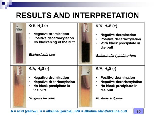 Medical Microbiology Laboratory (biochemical tests - ii)