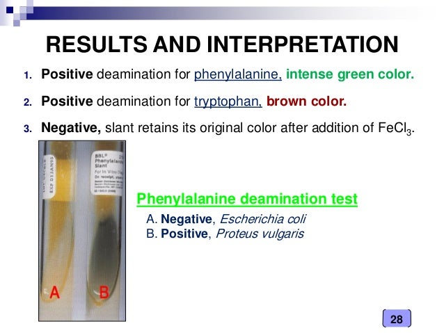 Medical Microbiology Laboratory (biochemical tests - ii)