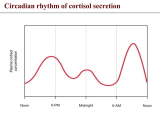 L11-The Adrenal Gland Glucocorticoids.ppt
