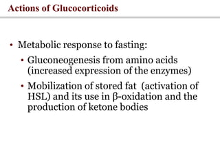 L11-The Adrenal Gland Glucocorticoids.ppt