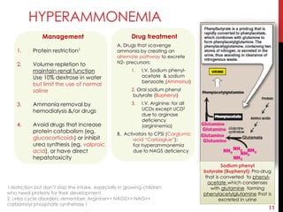 L11-Urea cycle.pdf