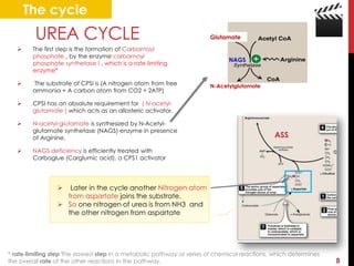 L11-Urea cycle.pdf