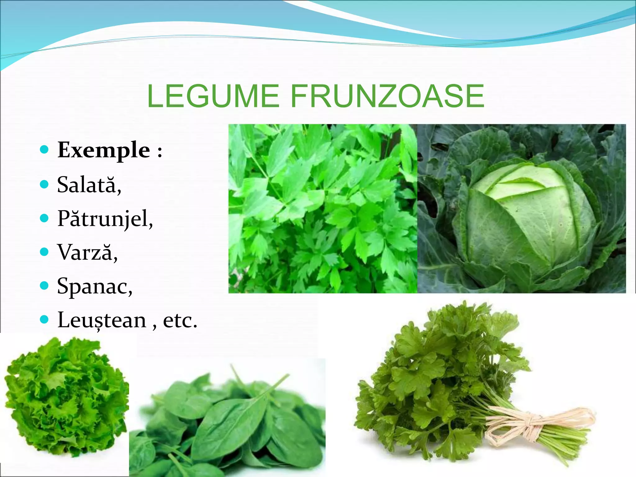 Sortimentul fructelor si legumelor - clasificare | PPT