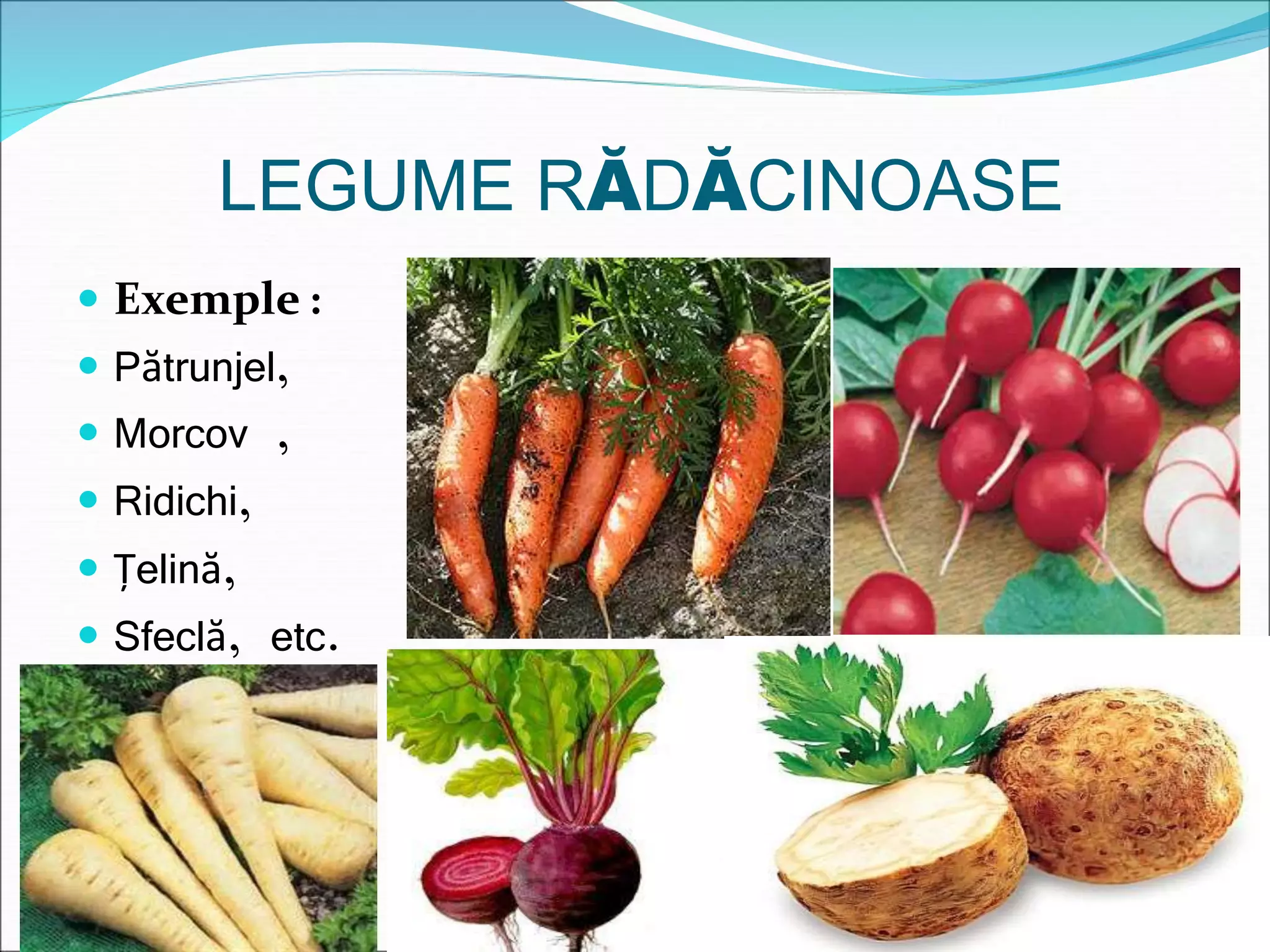 Sortimentul fructelor si legumelor - clasificare | PPT