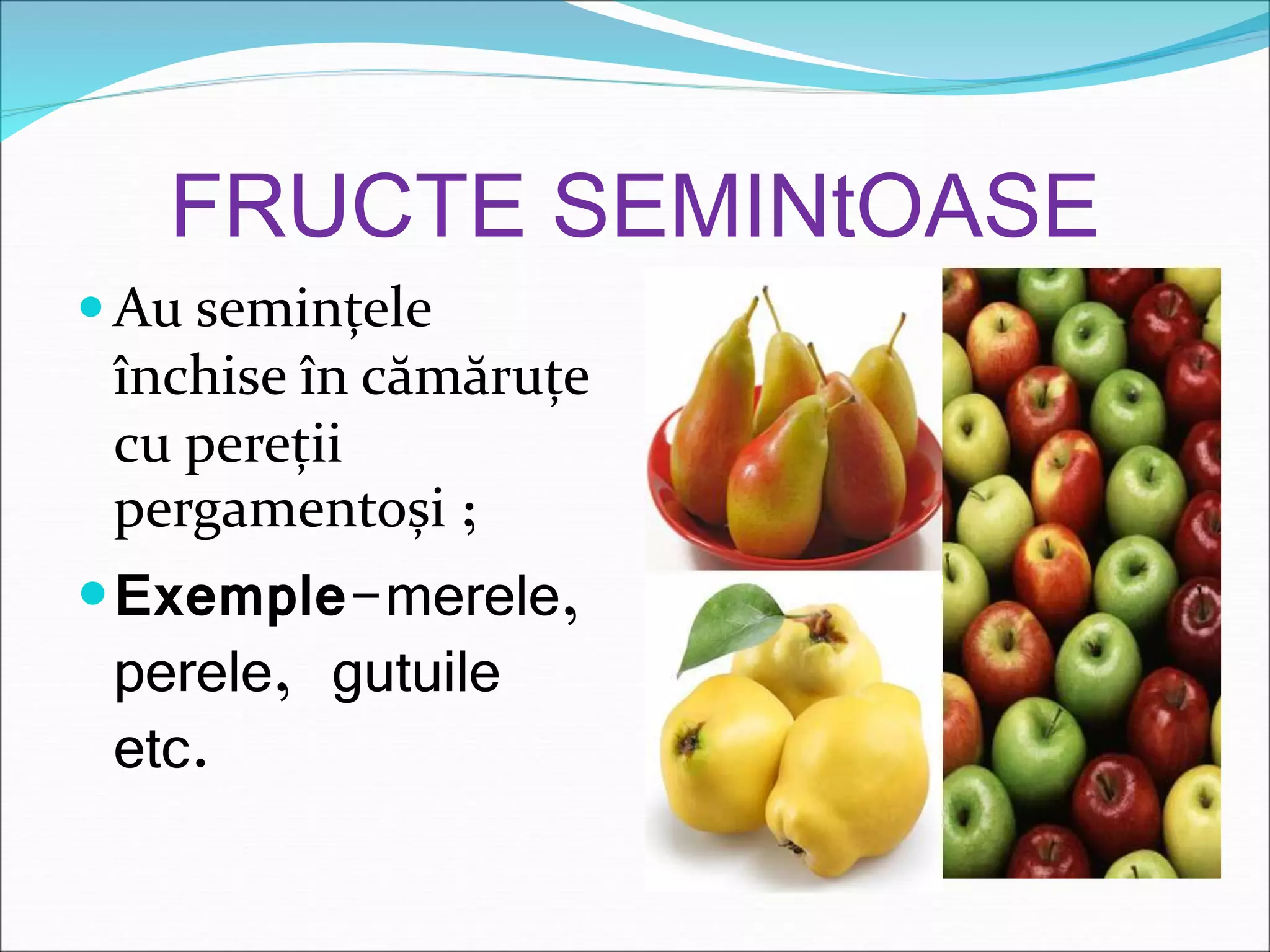 Sortimentul fructelor si legumelor - clasificare | PPT