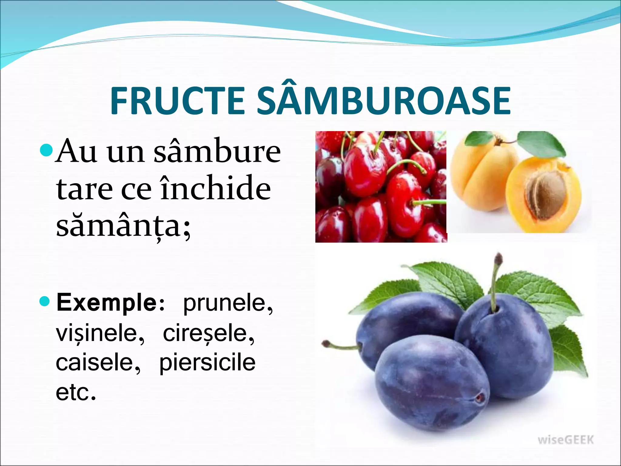 Sortimentul fructelor si legumelor - clasificare | PPT
