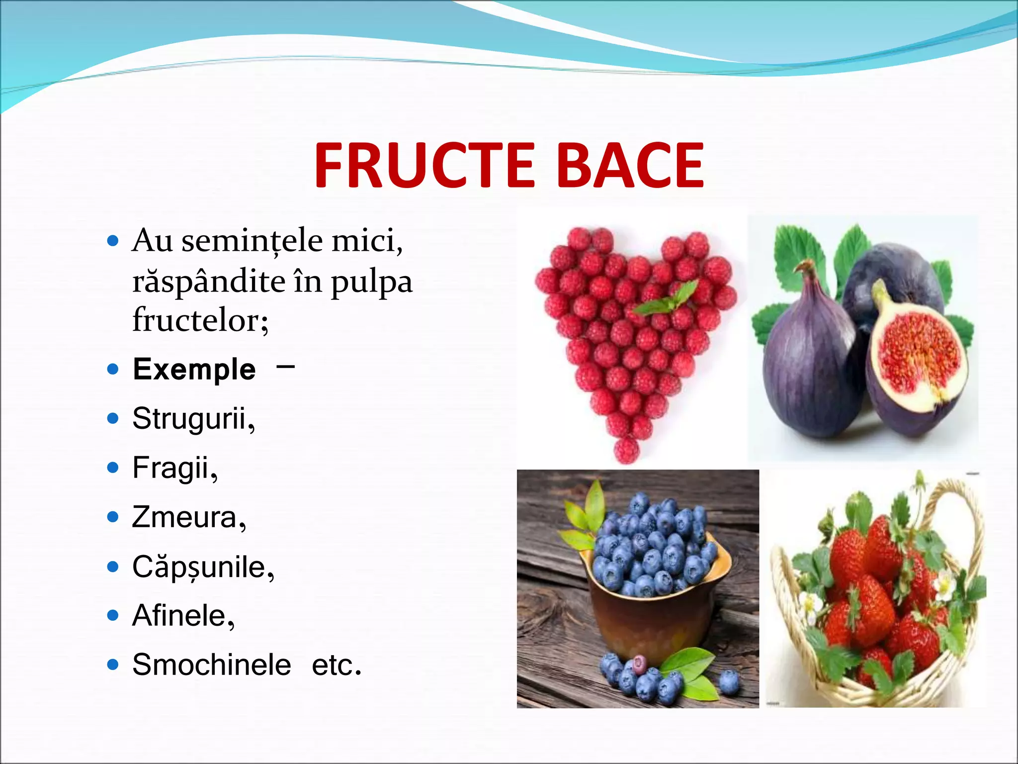 Sortimentul fructelor si legumelor - clasificare | PPT