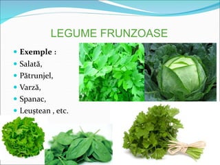 Sortimentul fructelor si legumelor - clasificare | PPT