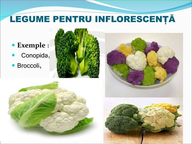 Sortimentul fructelor si legumelor - clasificare | PPT