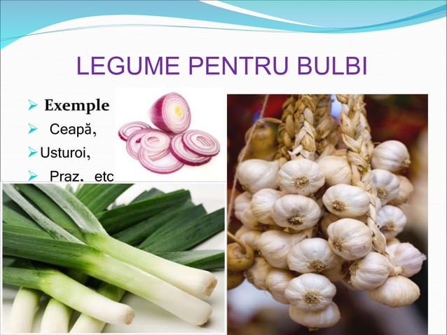 Sortimentul fructelor si legumelor - clasificare | PPT