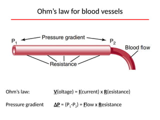 L 11, Circulation, pressure and flow (Ch 14,15), HLM.pptx