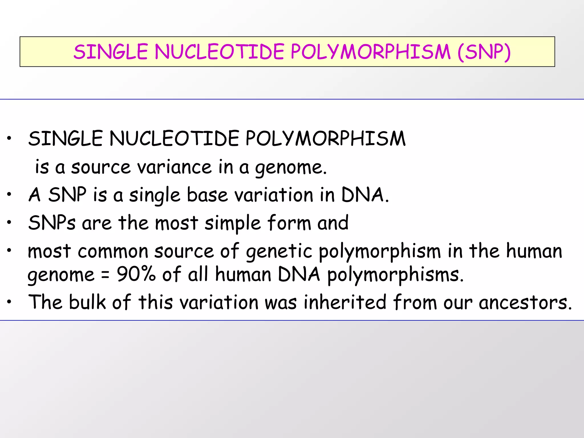 L11 dna__polymorphisms__mutations_and_genetic_diseases4 | PDF