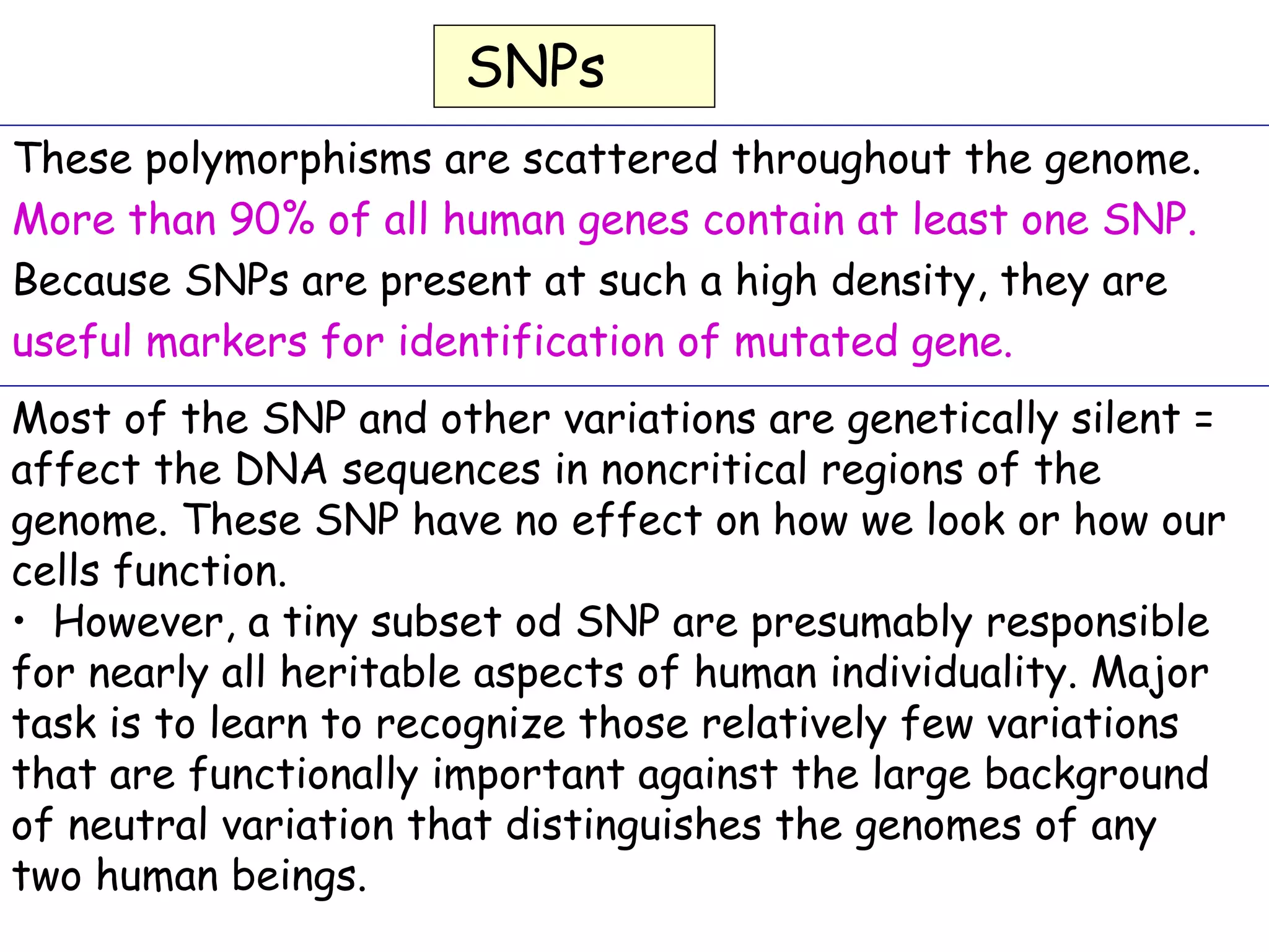 L11 dna__polymorphisms__mutations_and_genetic_diseases4 | PDF