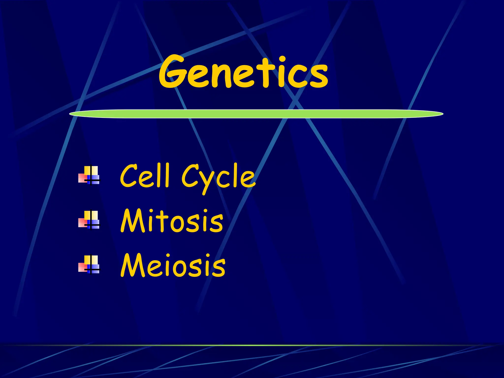 CELL CYCLE- THE CELL DIVISION, PHASES OF MITOSIS AND MEIOSISMITOSIS | PPT