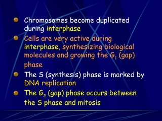 CELL CYCLE- THE CELL DIVISION, PHASES OF MITOSIS AND MEIOSISMITOSIS | PPT