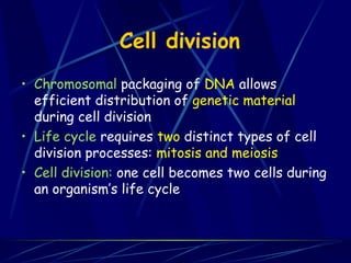 CELL CYCLE- THE CELL DIVISION, PHASES OF MITOSIS AND MEIOSISMITOSIS | PPT