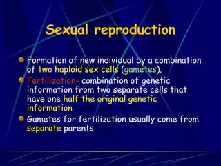 CELL CYCLE- THE CELL DIVISION, PHASES OF MITOSIS AND MEIOSISMITOSIS | PPT