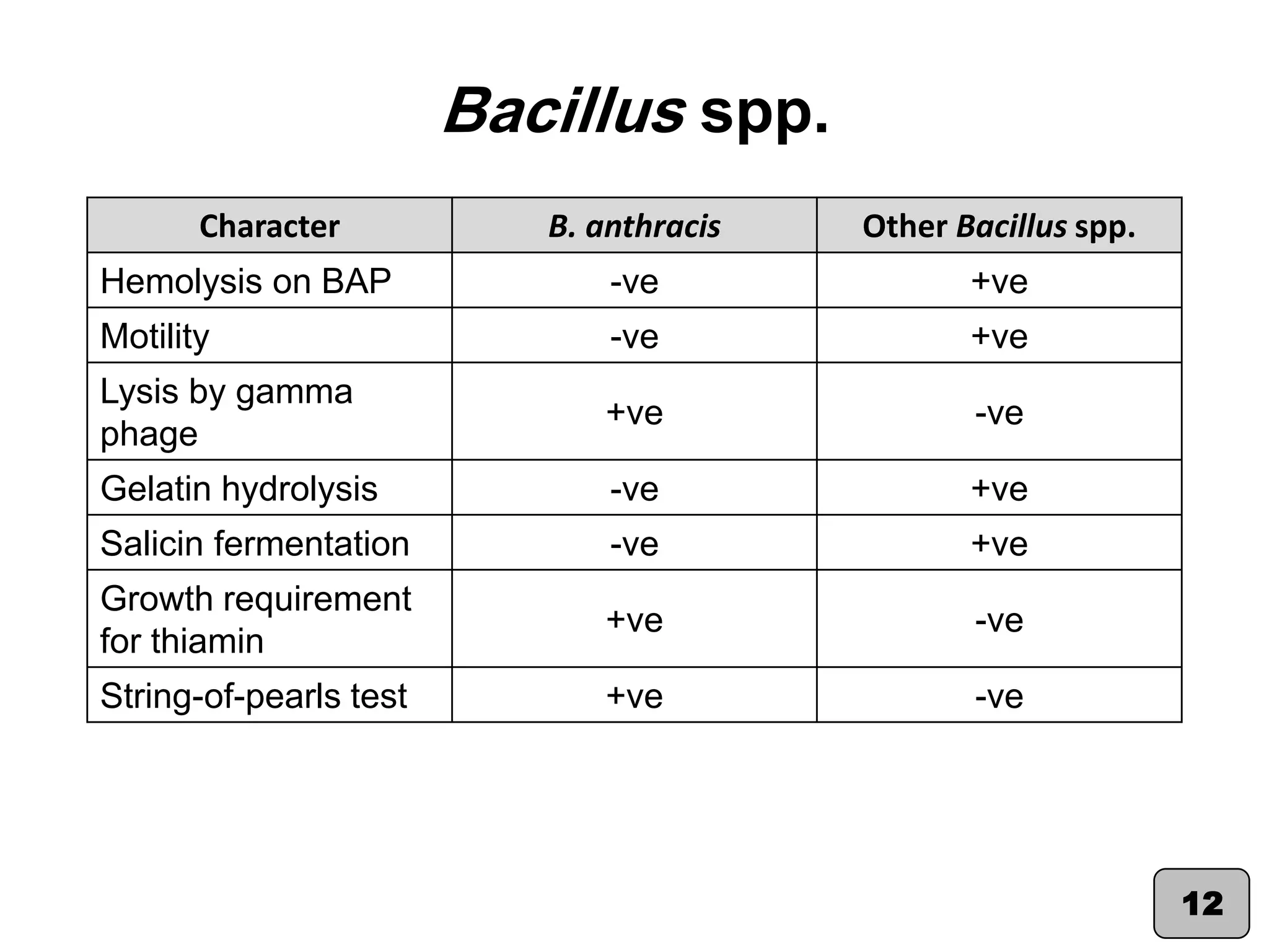 Bacillus spp. (Practical Medical Microbiology, 12) | PDF