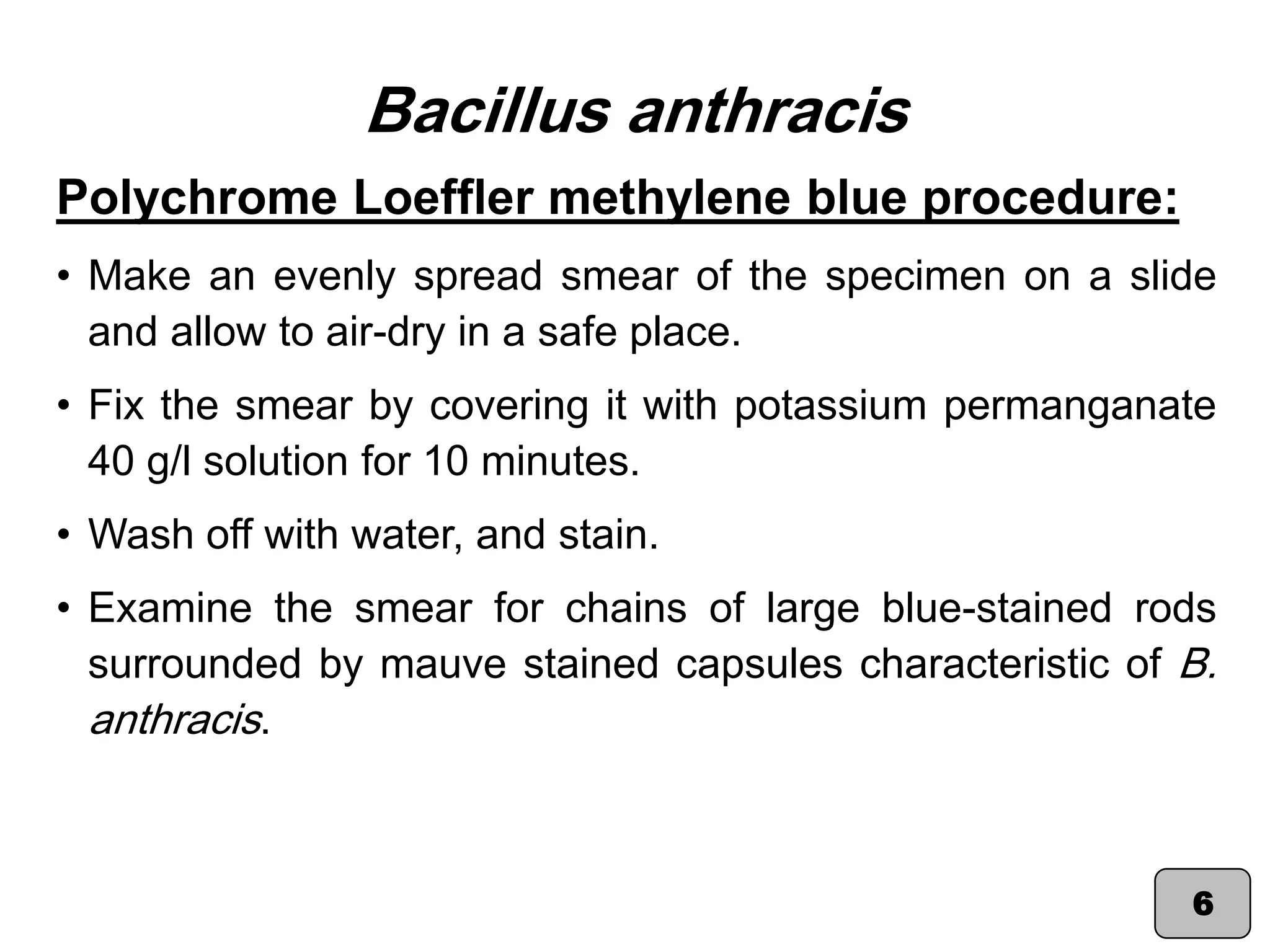Bacillus spp. (Practical Medical Microbiology, 12) | PDF