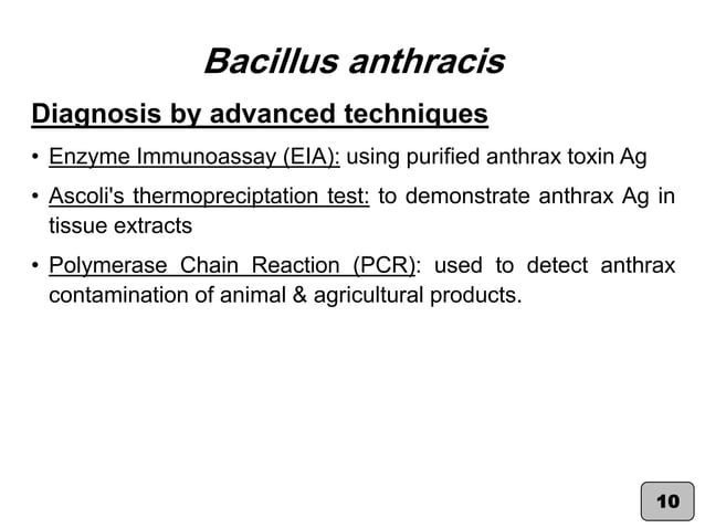 Bacillus spp. (Practical Medical Microbiology, 12) | PDF