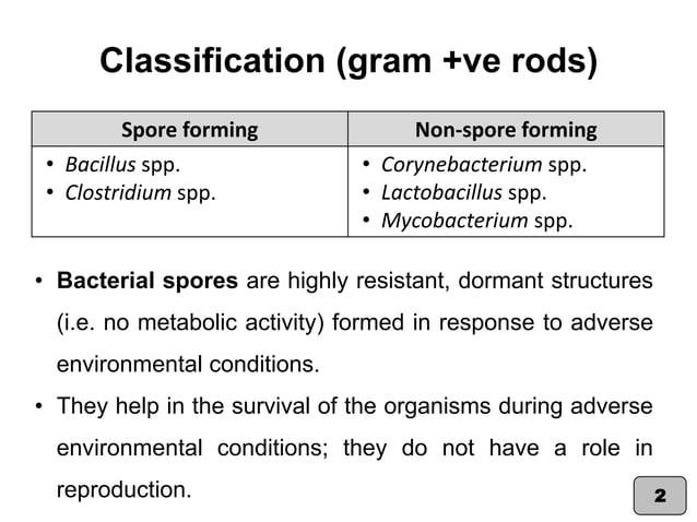 Bacillus spp. (Practical Medical Microbiology, 12) | PDF