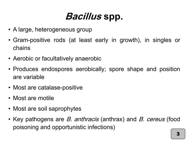 Bacillus spp. (Practical Medical Microbiology, 12) | PDF