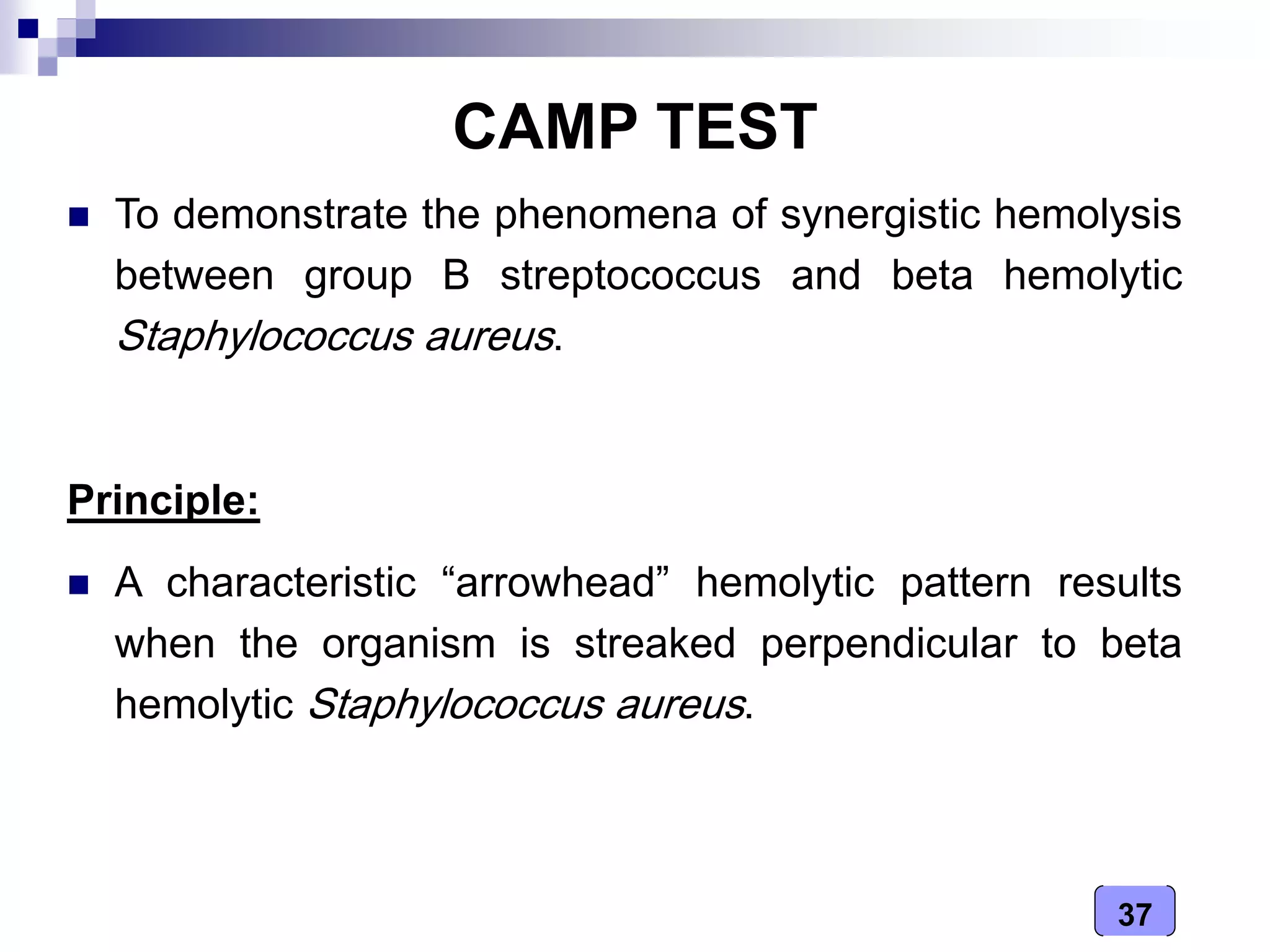 Medical Microbiology Laboratory (biochemical tests - iii) | PDF