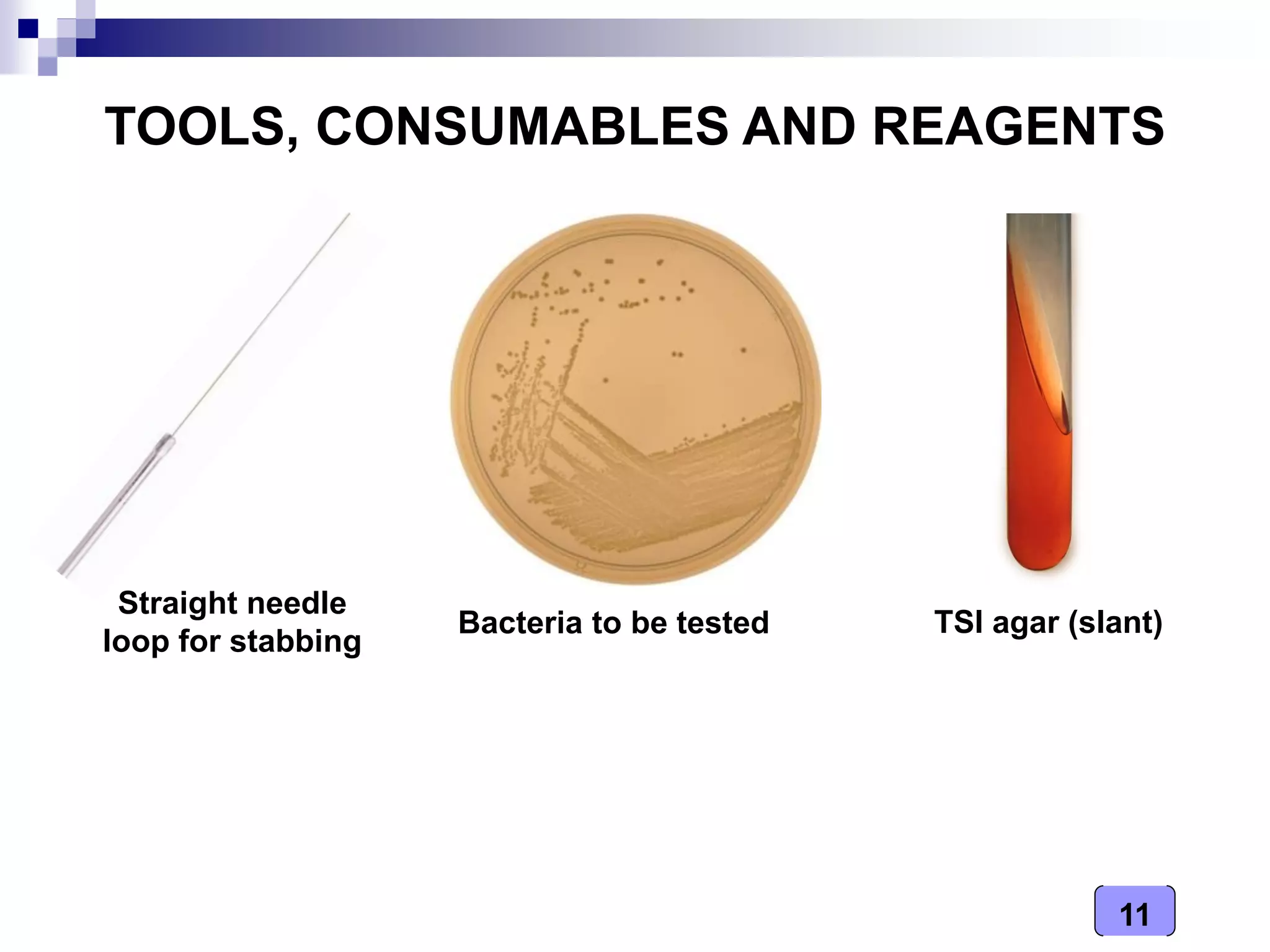 Medical Microbiology Laboratory (biochemical tests - iii) | PDF