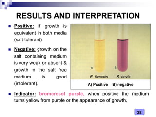Medical Microbiology Laboratory (biochemical tests - iii) | PDF