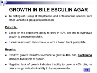 Medical Microbiology Laboratory (biochemical tests - iii) | PDF