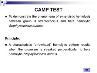 Medical Microbiology Laboratory (biochemical tests - iii) | PDF
