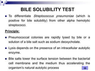 Bile Solubility Test