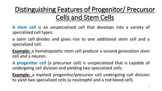 L12-Stem Cell and pluripotent stem cells | PPT