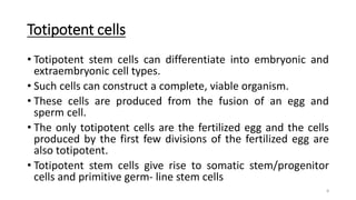 L12-Stem Cell and pluripotent stem cells | PPT