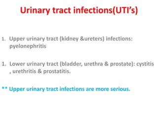 L 1+2 - Urinary tract infectins.ppt pptn | PPT