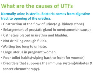L 1+2 - Urinary tract infectins.ppt pptn | PPT