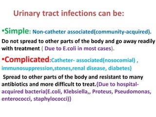 L 1+2 - Urinary tract infectins.ppt pptn | PPT