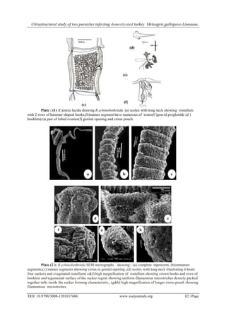 Ultrastructural Study of two Parasites Infecting Domesticated Turkey ...