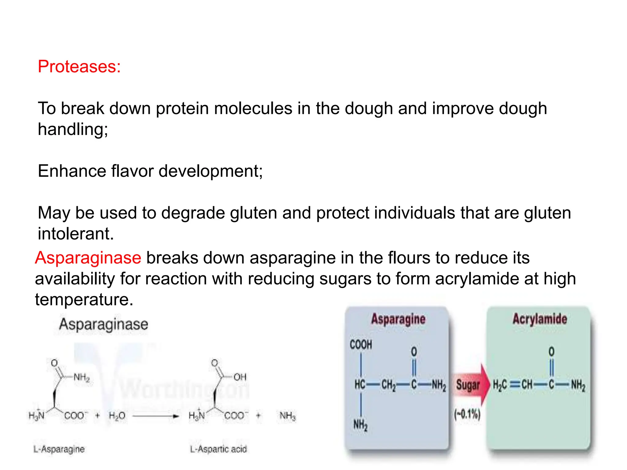 L12 using Enzymes in food processing.pptx