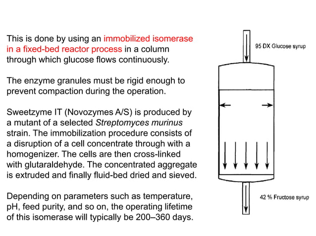 L12 using Enzymes in food processing.pptx