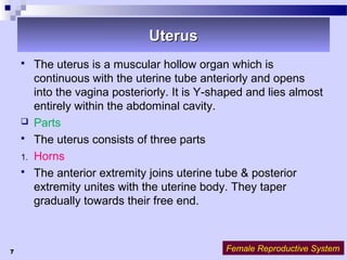 Female Reproductive System | PPT