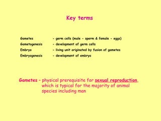 L12 gametogenesis | PPT