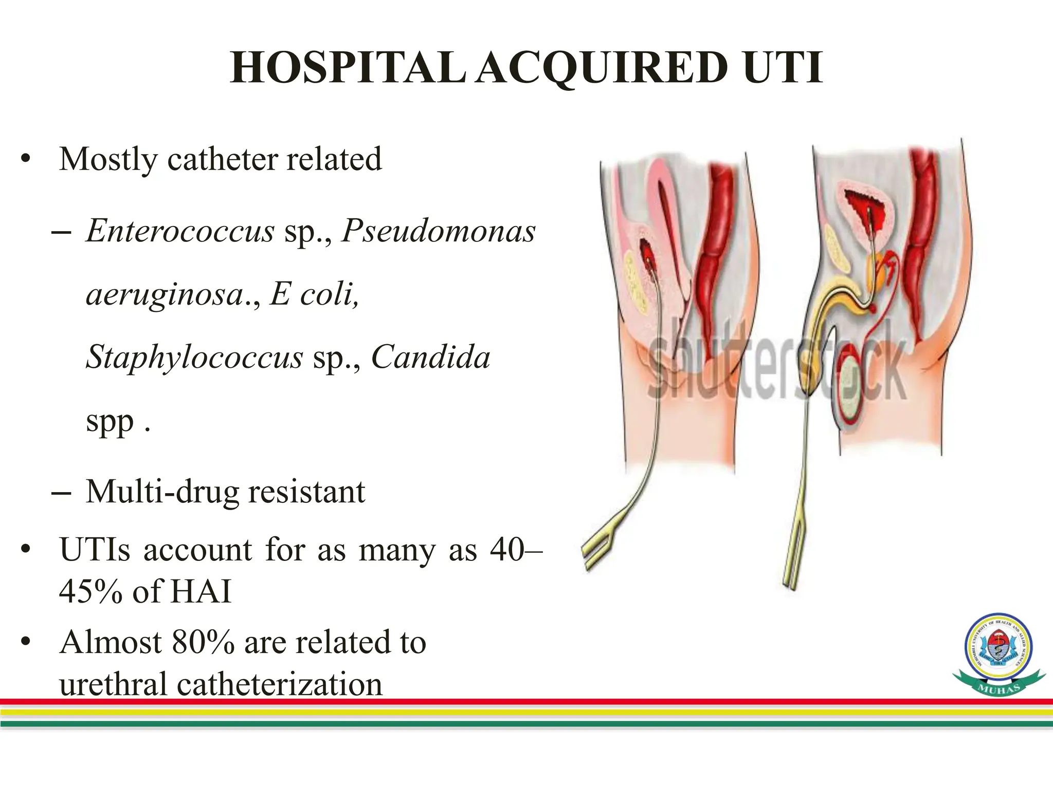 Hospital Acquired Infections and Health associated infections | PPTX