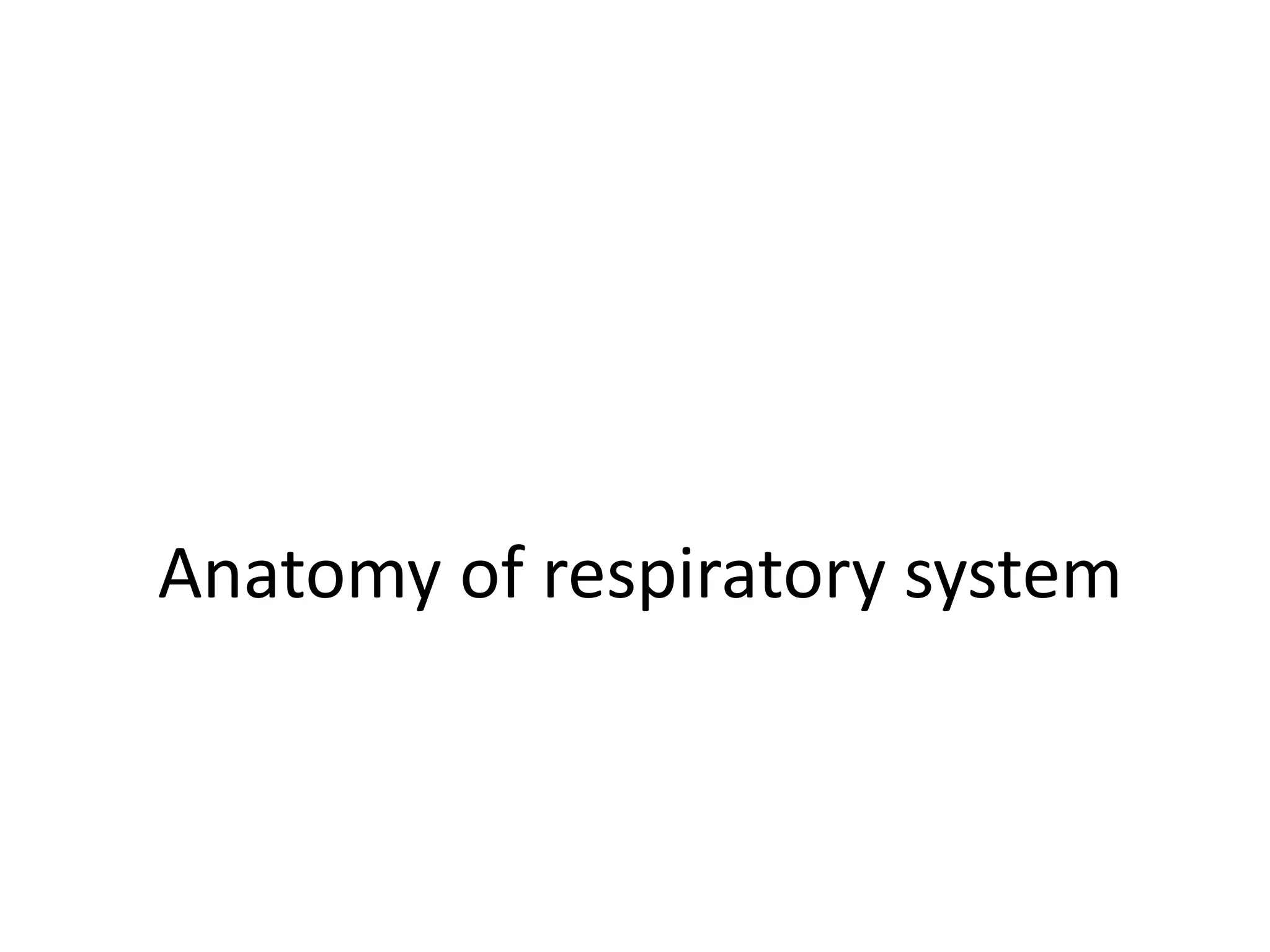 L12__Respiratory_system_anatomy[1].pptx