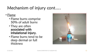 Burn Injury,grades of burn Injury and their management | PPTX