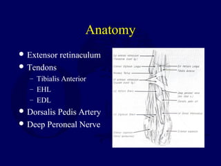 L13 ankle ligament injuries | PPT