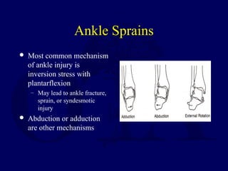 L13 ankle ligament injuries | PPT