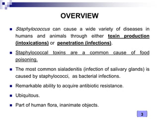L13 medical microbiology laboratory (staphylococcus spp.) | PDF
